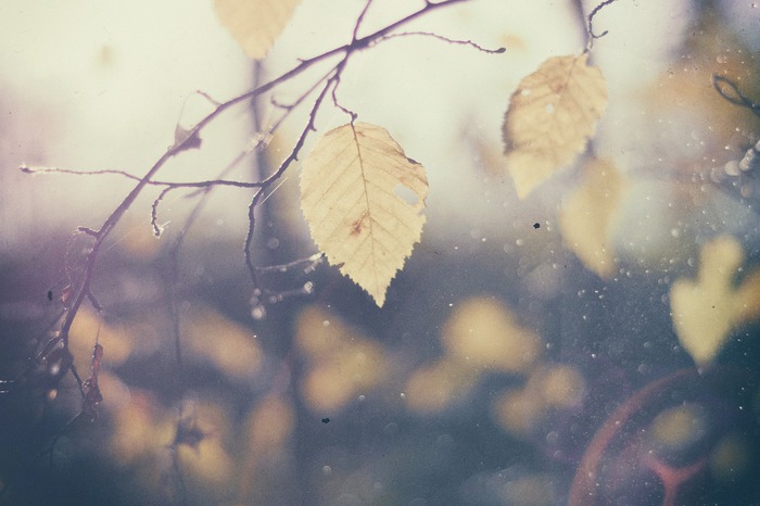 Pricelist :: Cosmic Epiphany